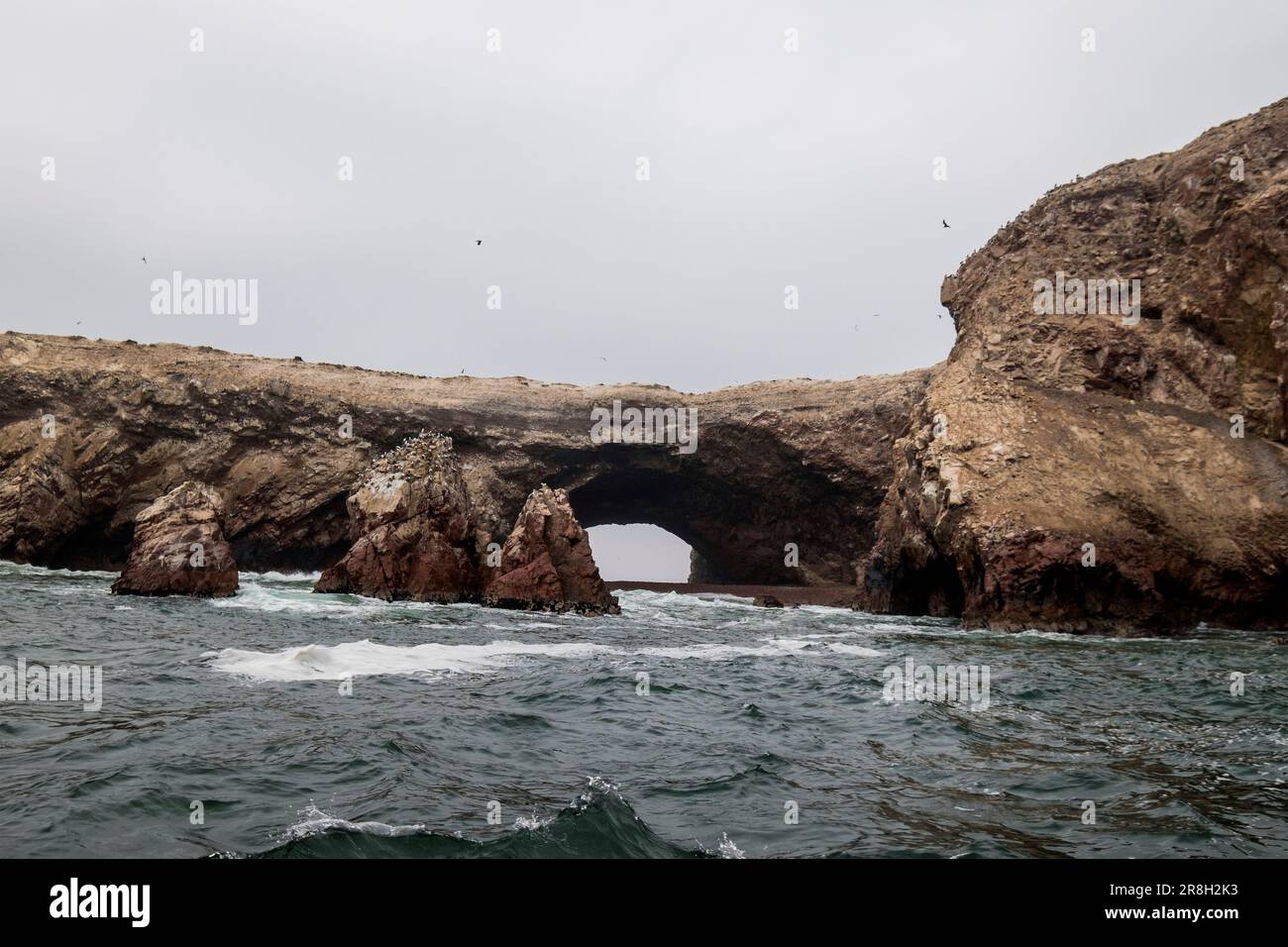 Perù. Paracas. Natural reserve. Ballestas island Stock Photo - Alamy