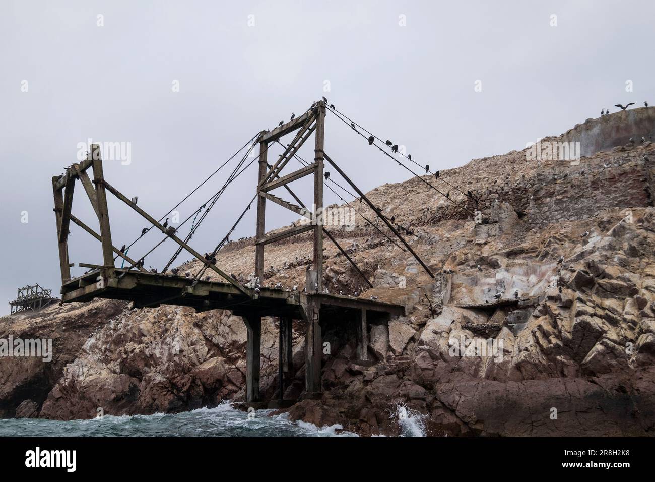 Perù. Paracas. Natural reserve. Ballestas island Stock Photo - Alamy