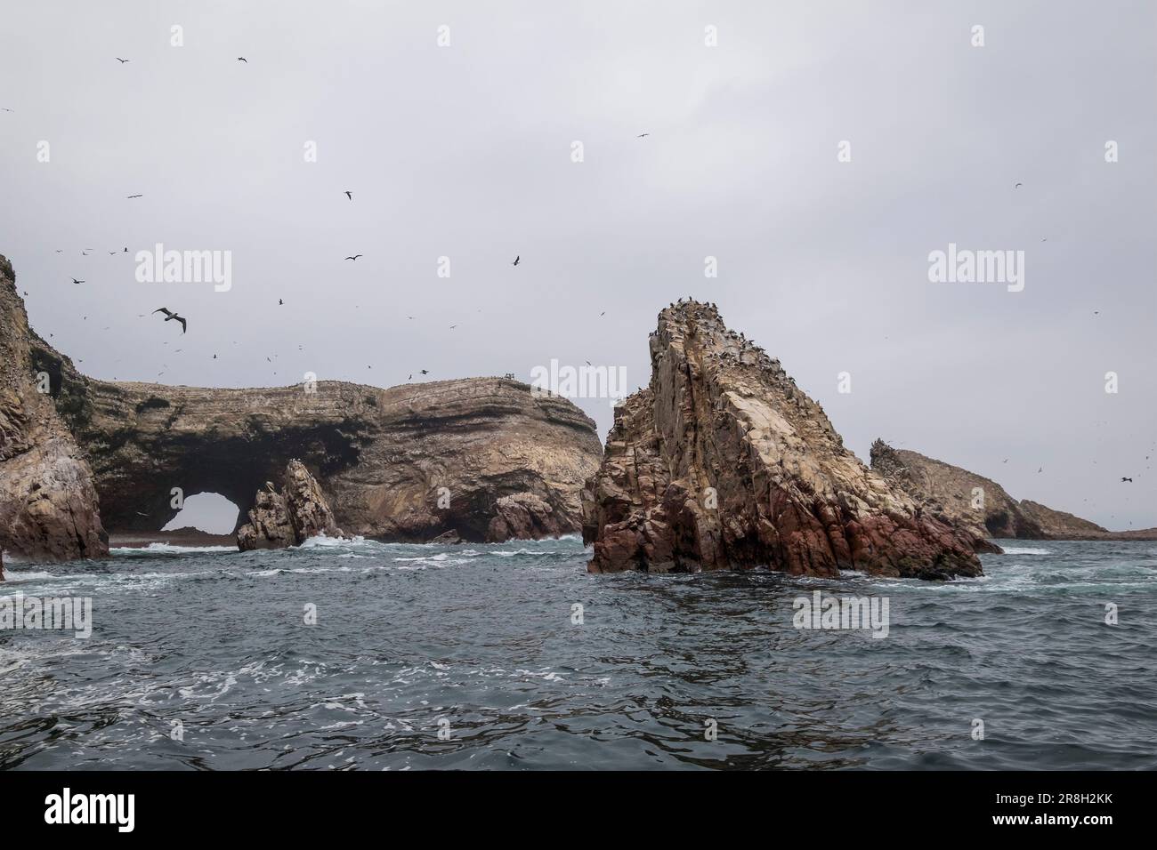 Perù. Paracas. Natural reserve. Ballestas island Stock Photo - Alamy