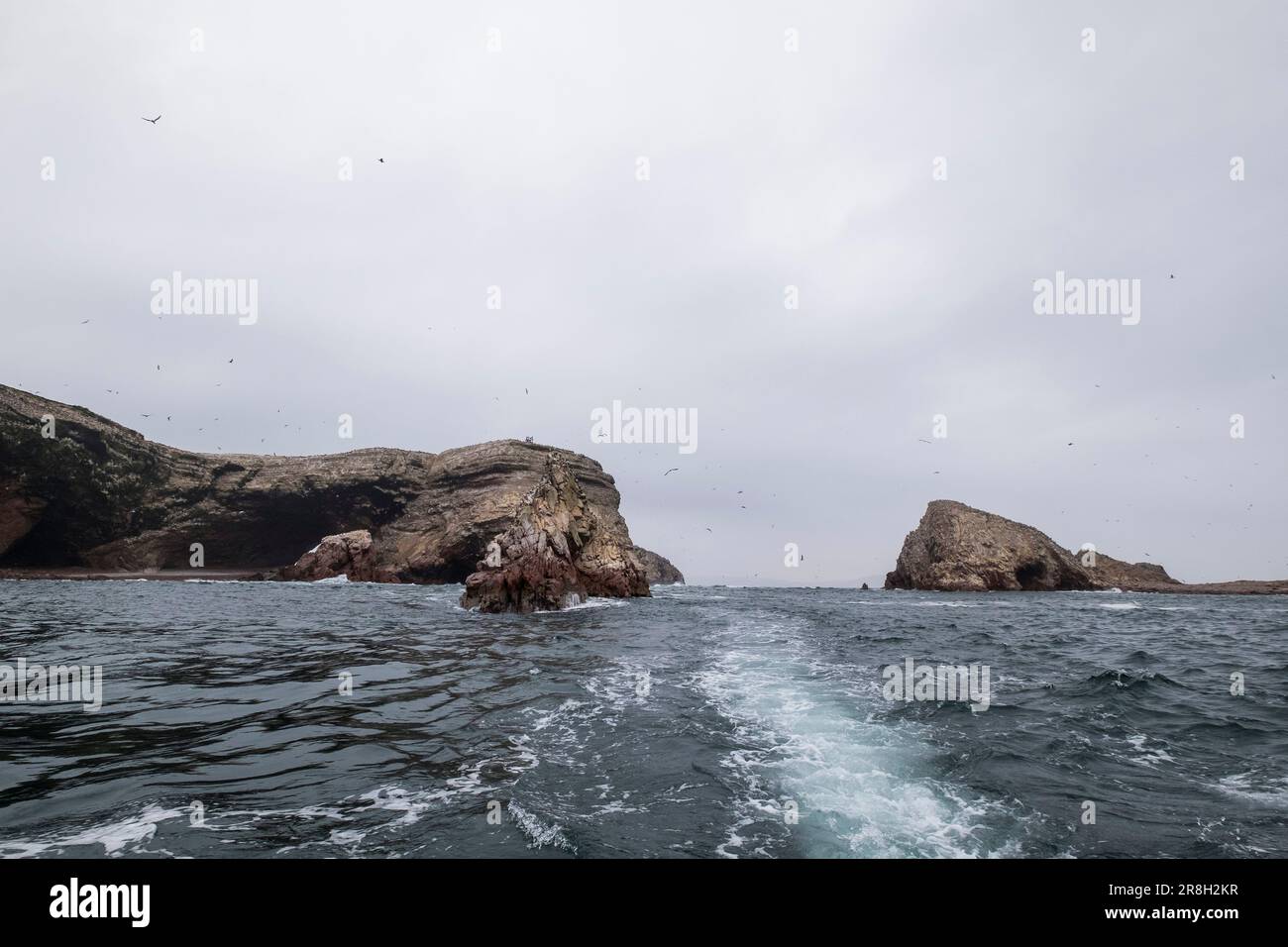 Perù. Paracas. Natural reserve. Ballestas island Stock Photo - Alamy