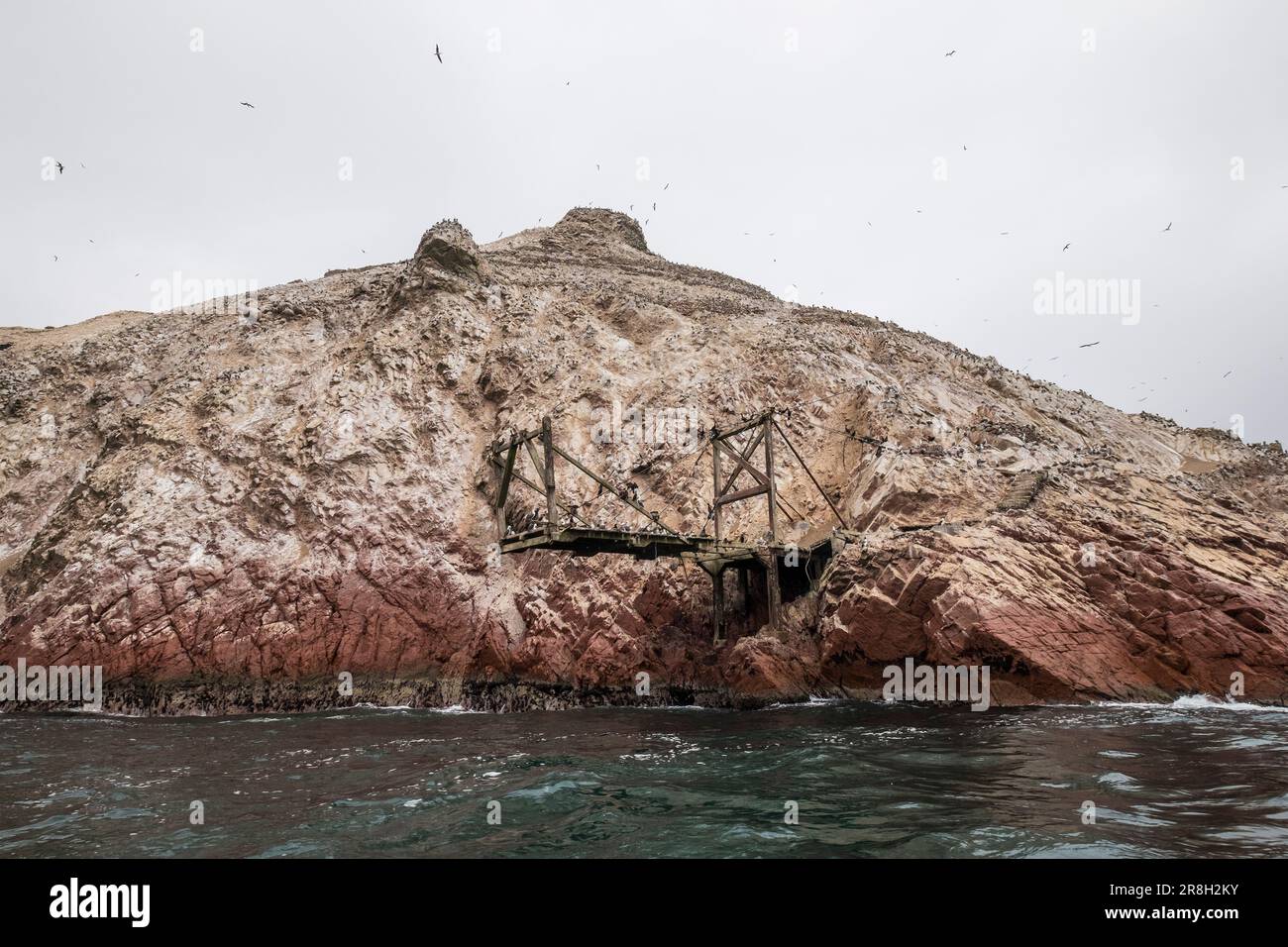 Perù. Paracas. Natural reserve. Ballestas island Stock Photo - Alamy