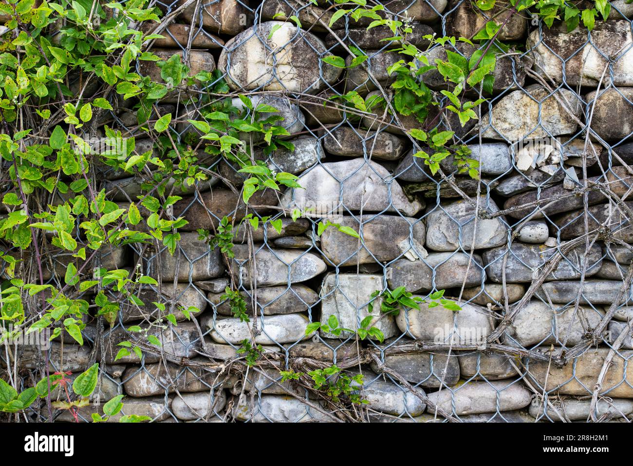 Wire and stone wall hi-res stock photography and images - Alamy