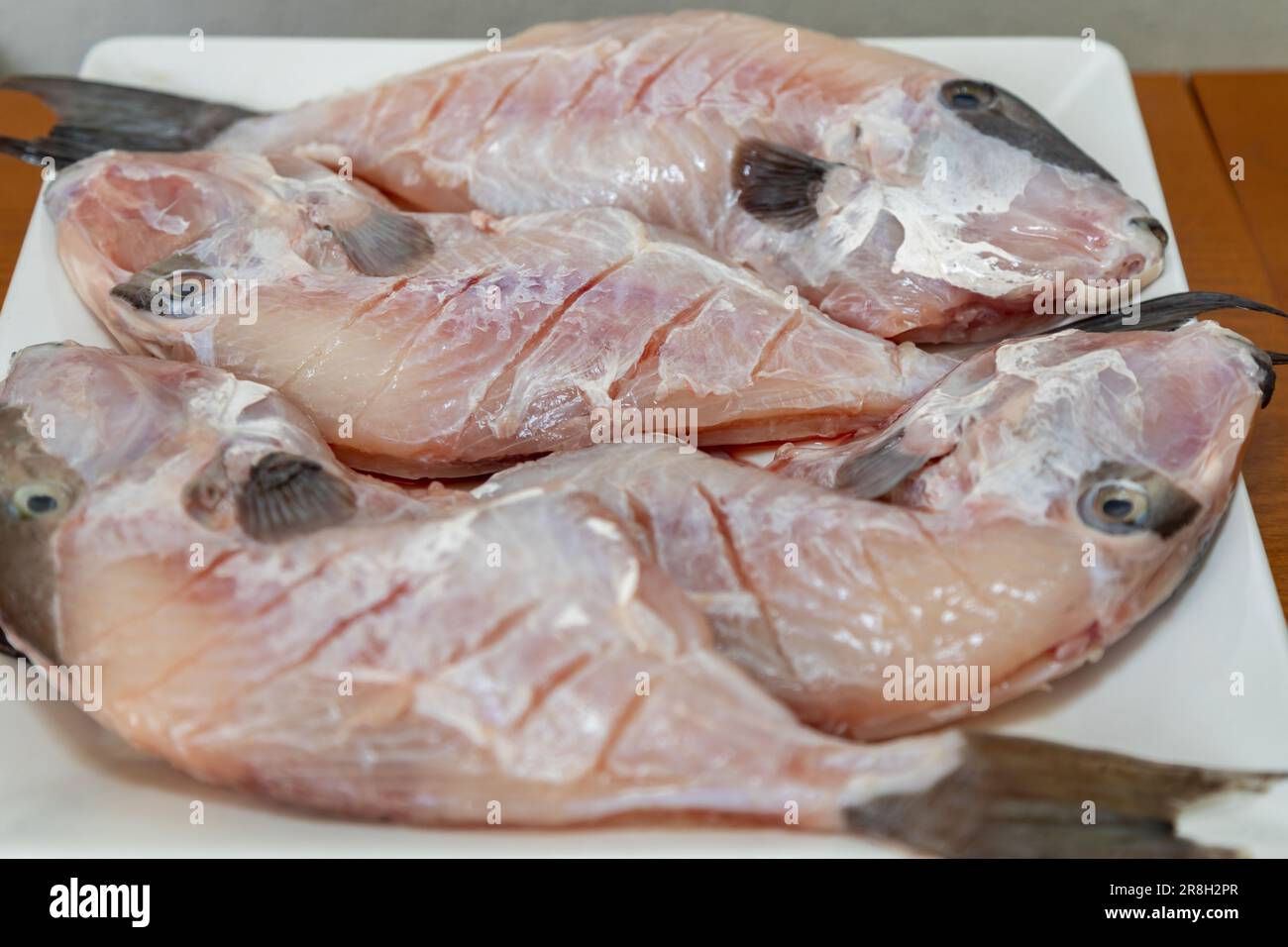 Clean and seasoned Peroá fish (Balistes capriscus) . Typical fish from ...