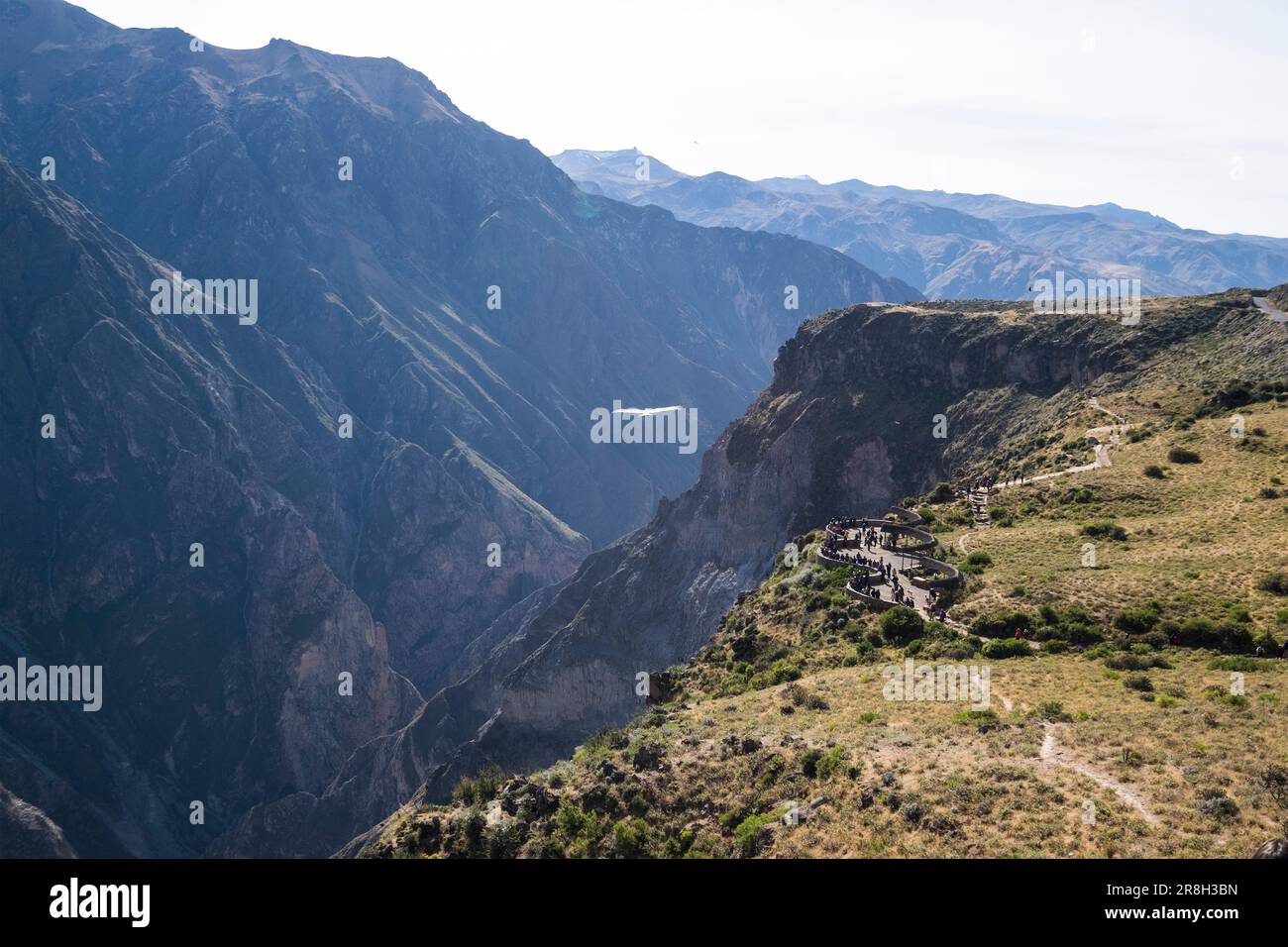 Ande condor hi-res stock photography and images - Alamy