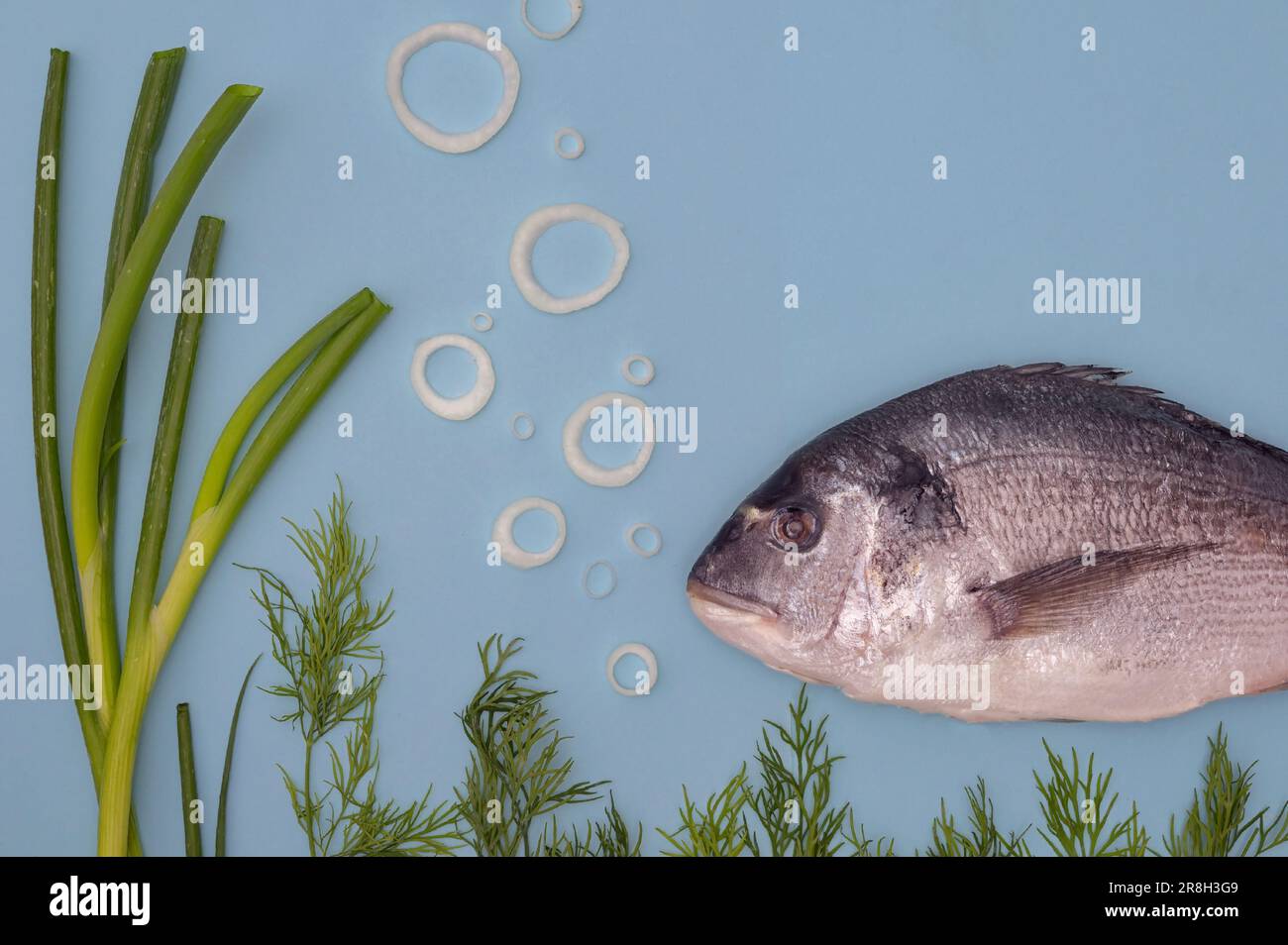 Underwater Bubbles Fish