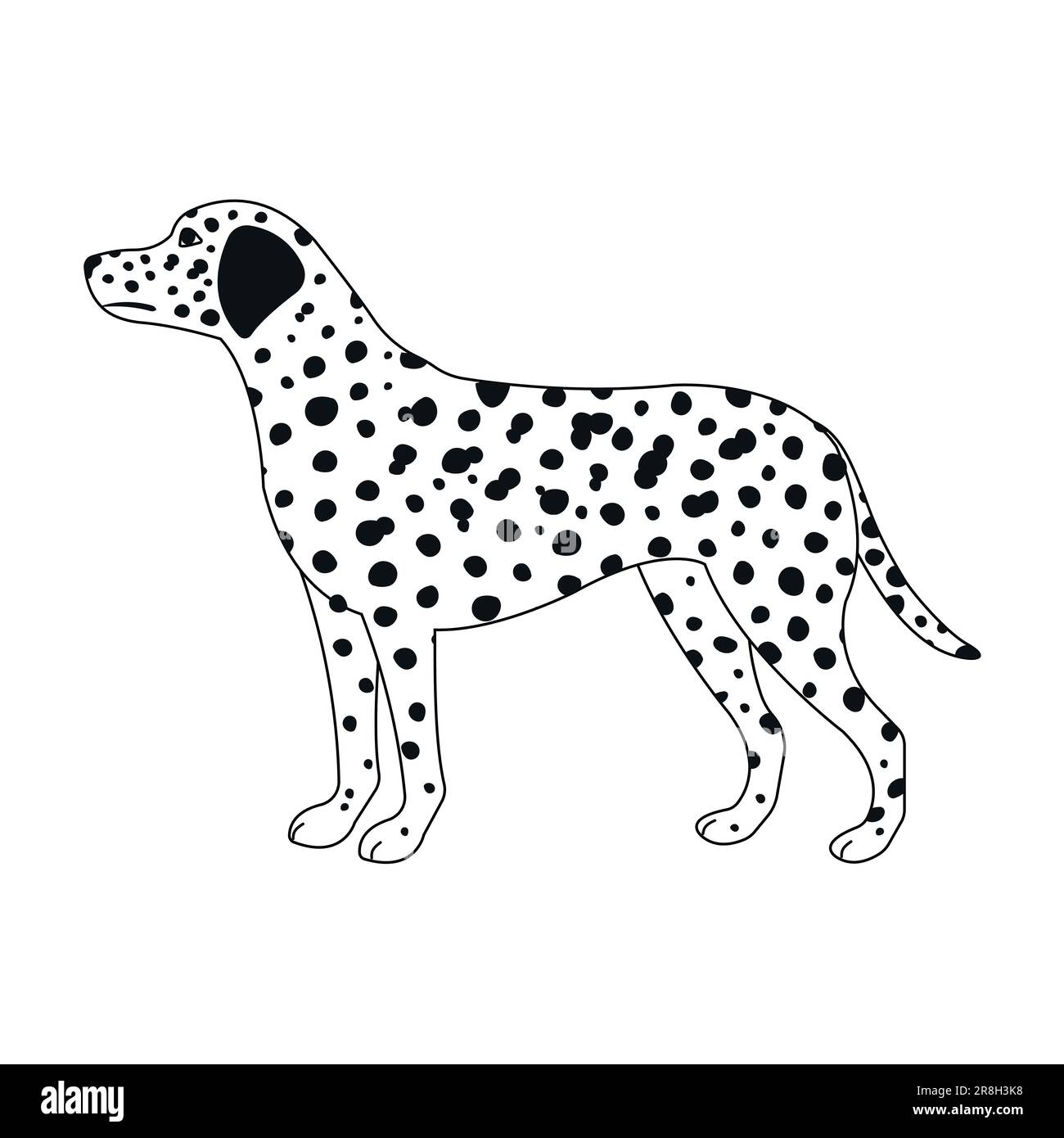 Vector flat hand drawn dalmatian dog isolated on white background Stock ...