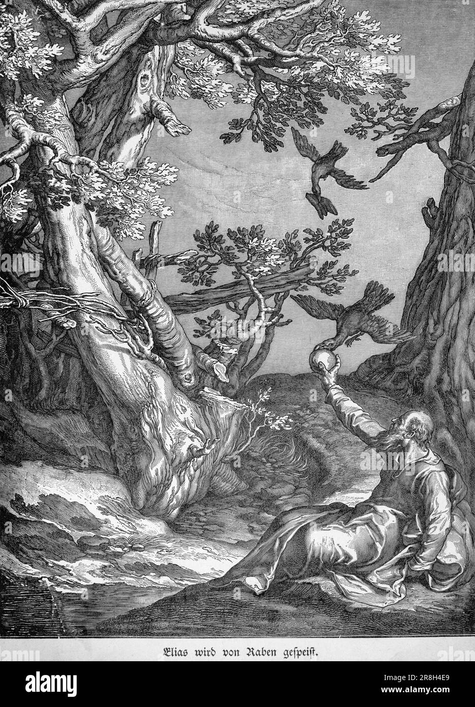 Elijah is fed by ravens, Elias wird von Raben gespeist, Frst Book of ...