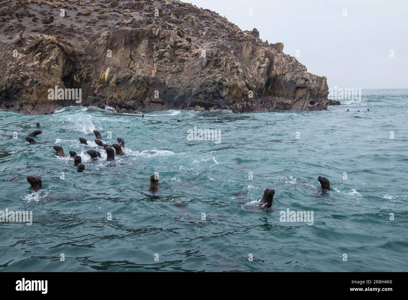 Perù. Paracas. Natural reserve. Ballestas island Stock Photo - Alamy