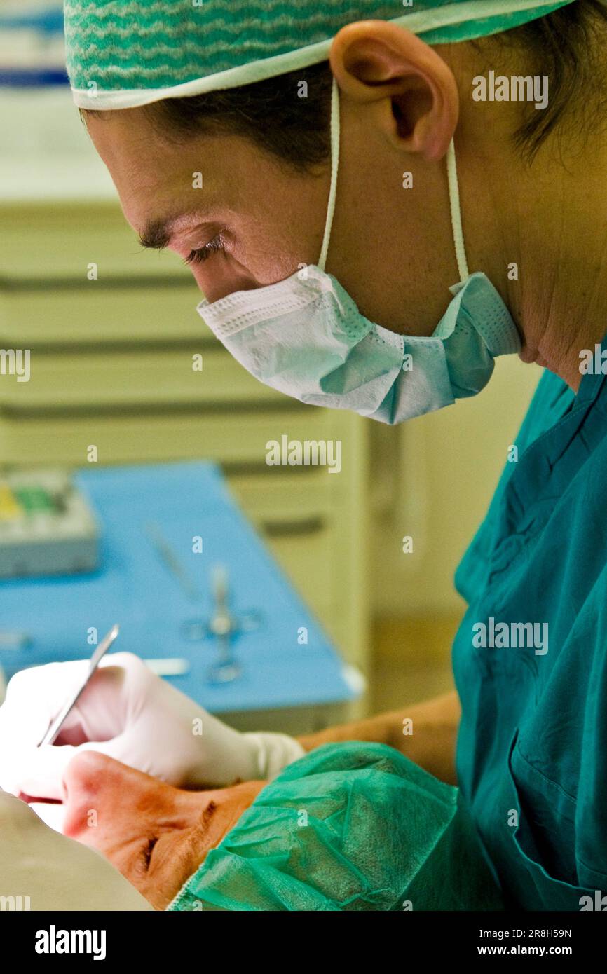 Medical Treatment by Implant Stock Photo - Alamy