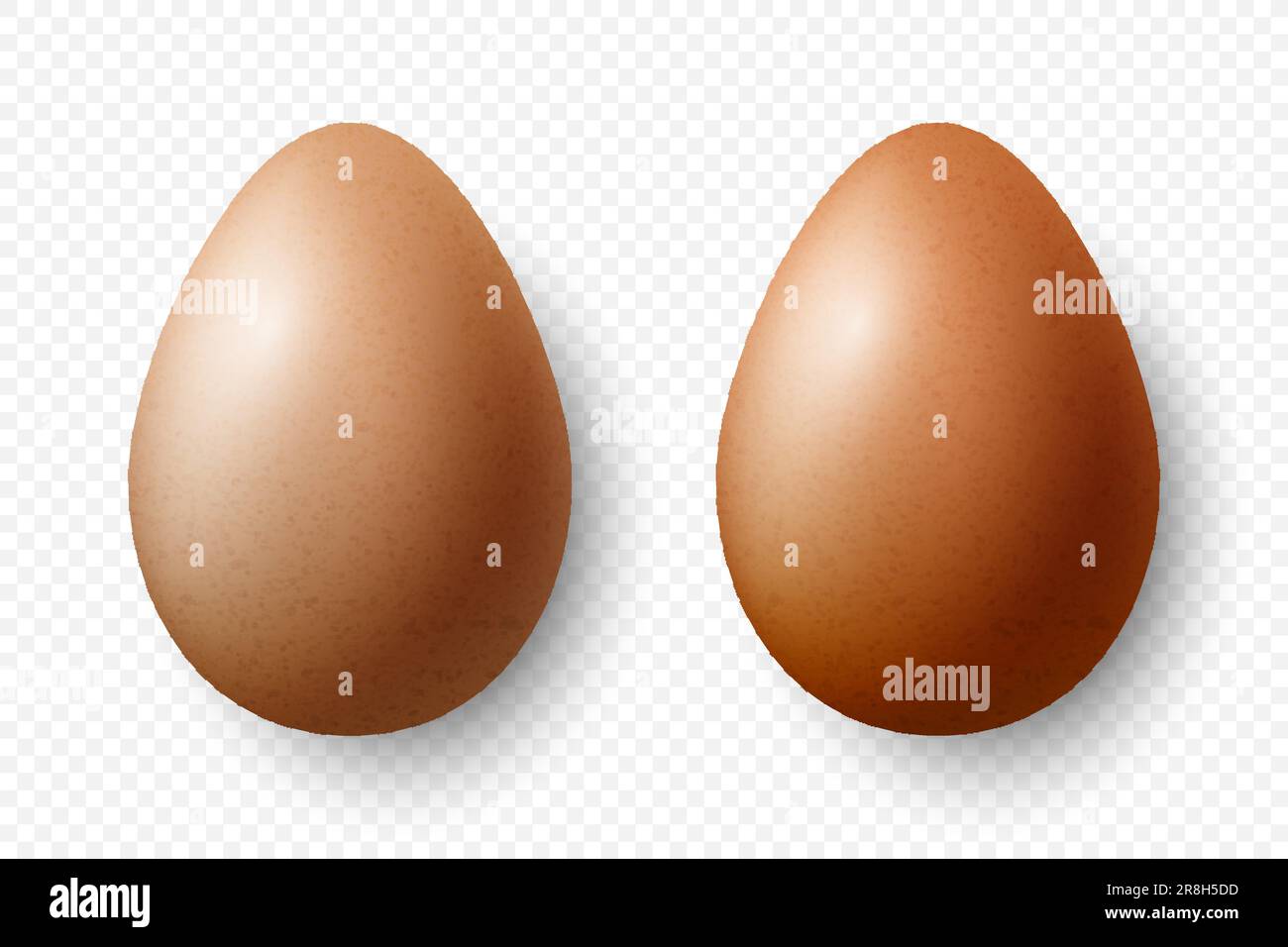 Vector 3d Realistic Brown Textured Chicken Eggs Closeup Isolated. Chicken Egg Set. Vector ...