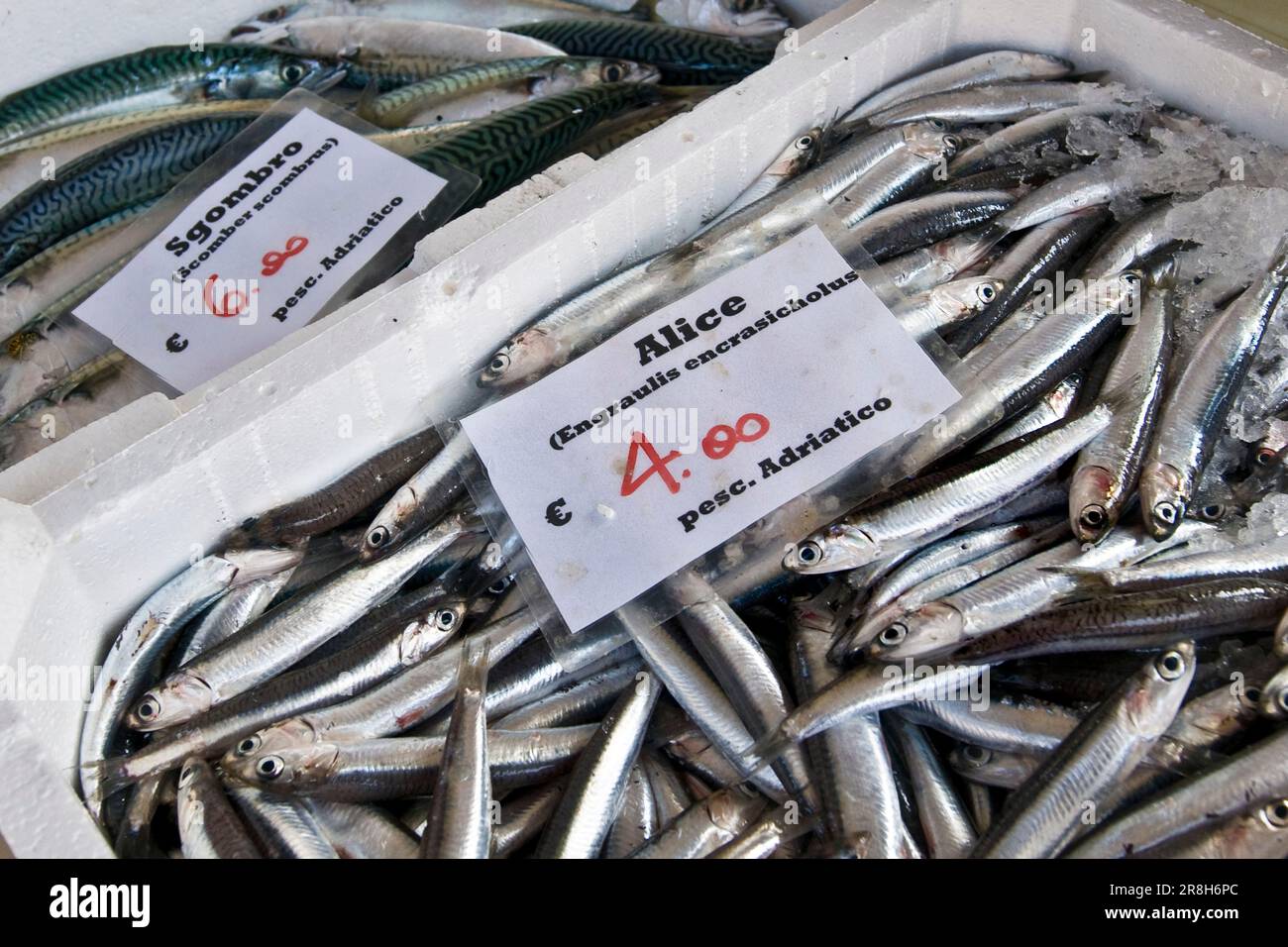 Anchovies. Fish Market Stock Photo - Alamy