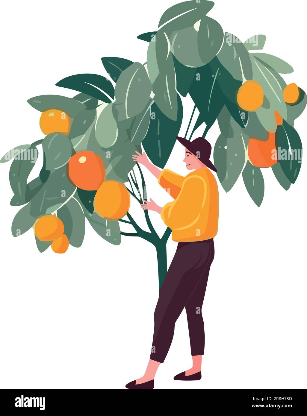 Organic fruit orchard man Stock Vector Images - Alamy