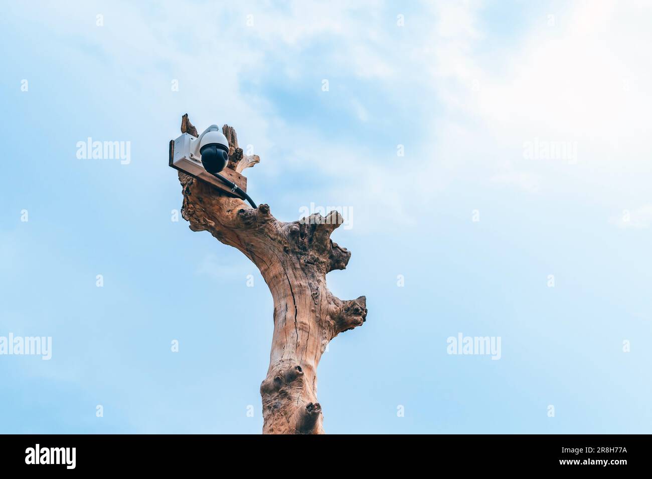 Closed circuit camera multi-angle CCTV system camera installed on dead ...