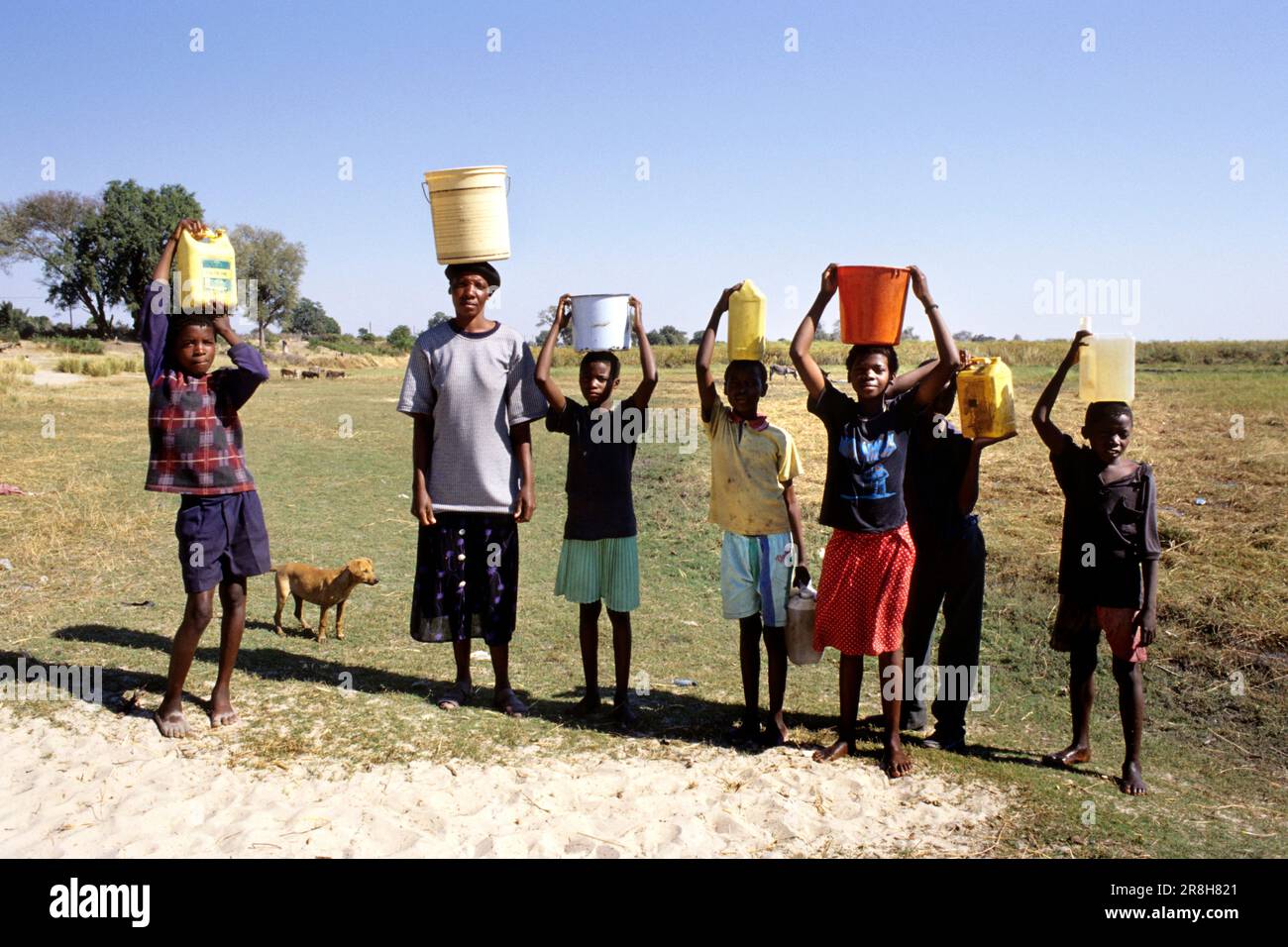 Kasane botswana africa hi-res stock photography and images - Alamy