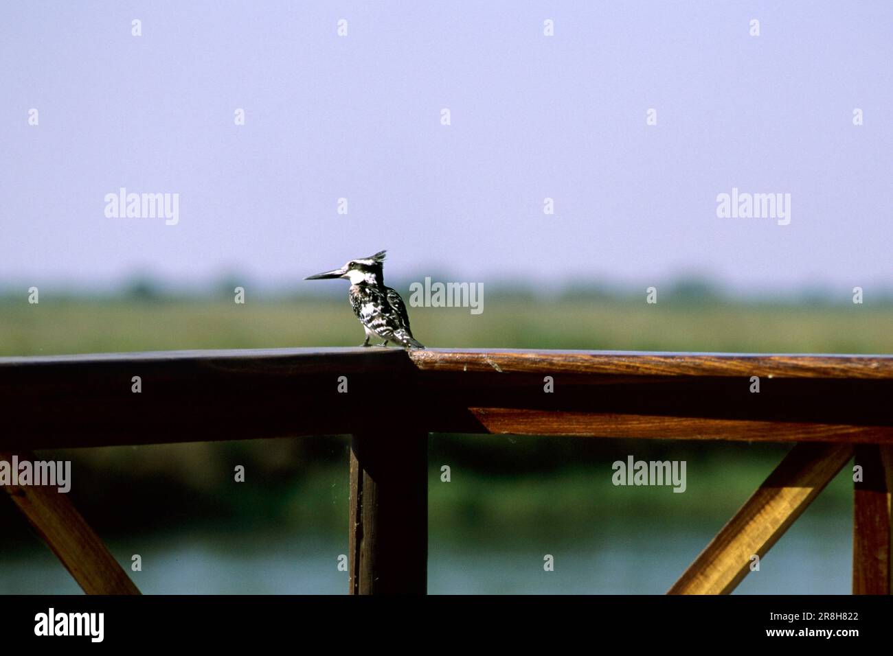 Shakawe hi-res stock photography and images - Alamy