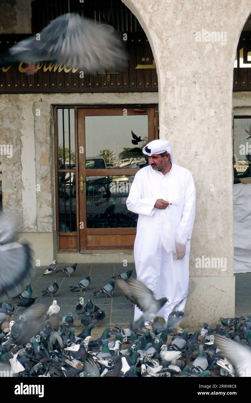 Qatar fauna hi-res stock photography and images - Alamy