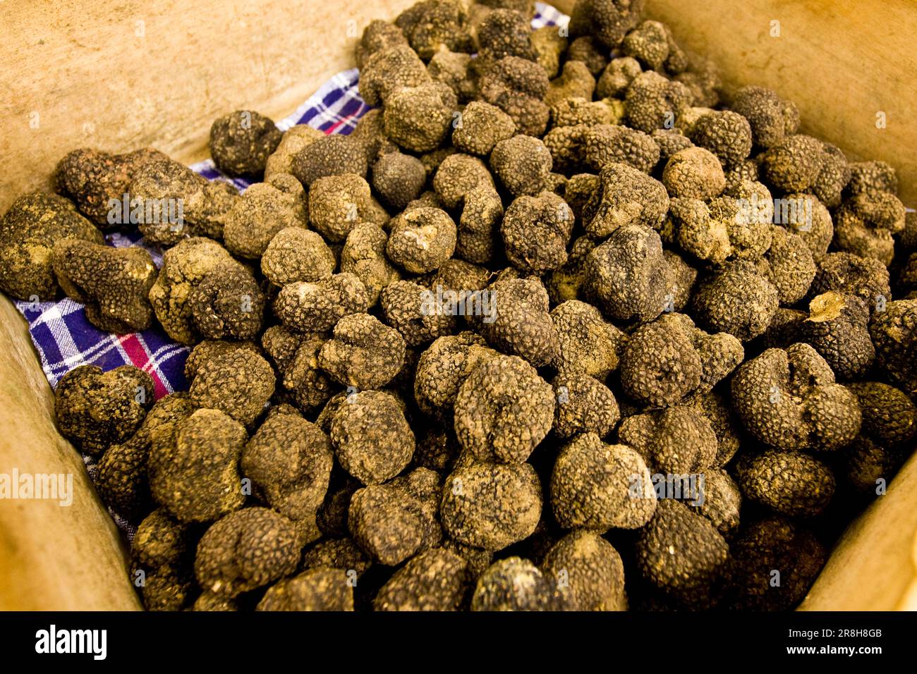 Truffle piedmont hi-res stock photography and images - Alamy