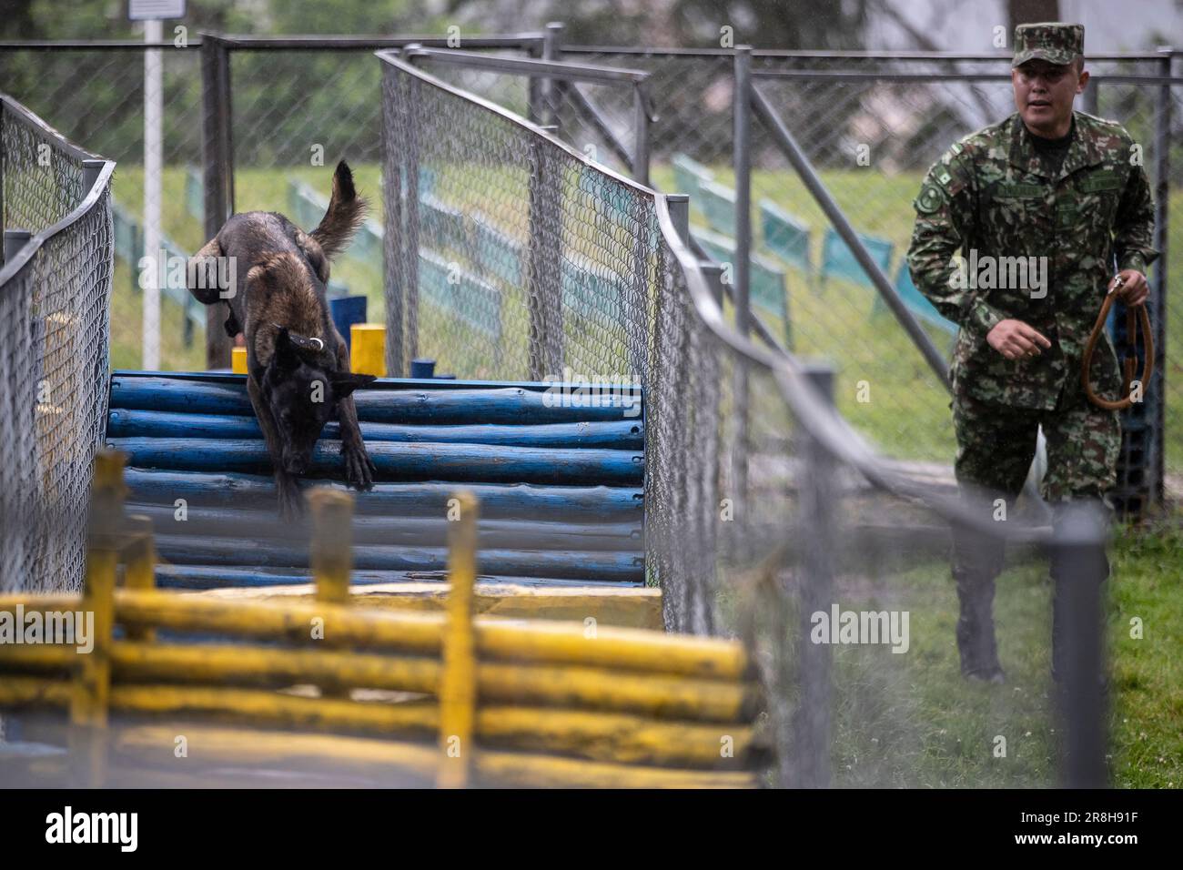 A handler guides his dog through an obstacle course at a Colombian Army ...