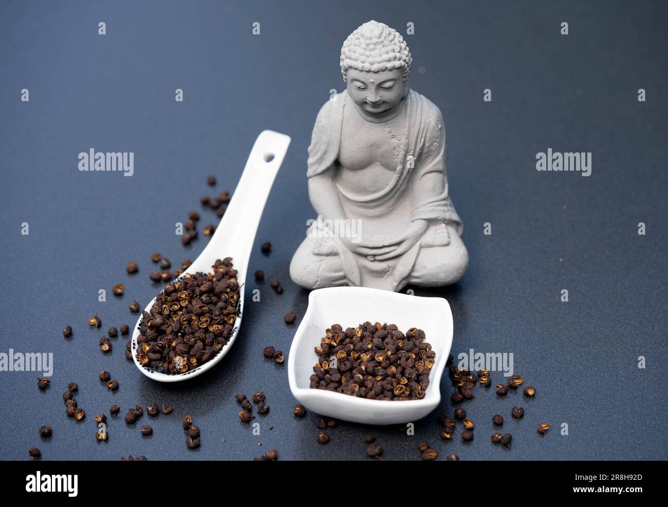 Chinese prickly ash or Sichuan pepper Zanthoxylum piperitum Stock Photo ...