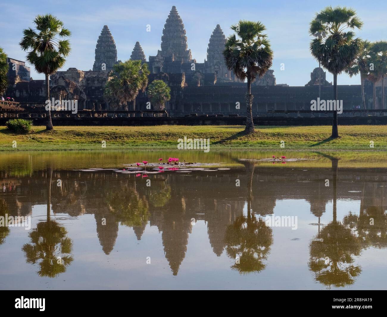 A pond with blooming lotus flowers near the famous Khmer temple of ...