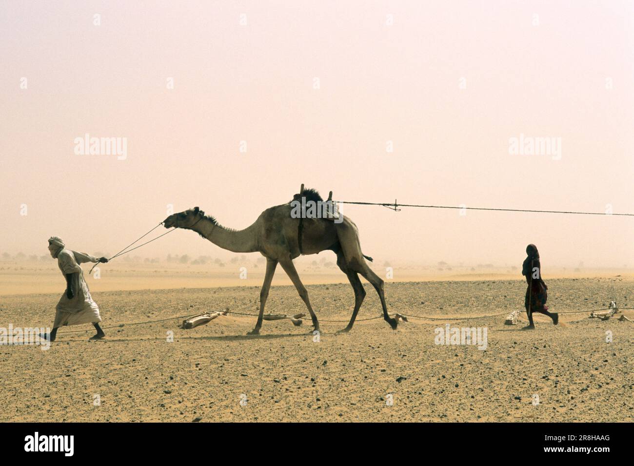 Sudan. Nubia. Daily Life In the Bayuda Desert Stock Photo - Alamy