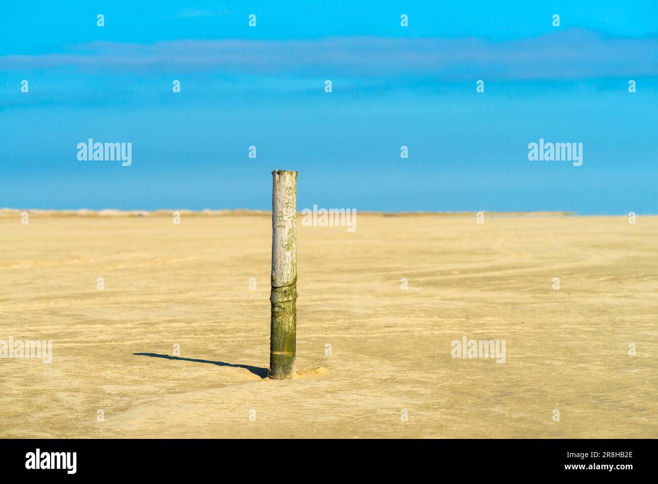 A single wooden pole standing on a sandy beach in Denmark Stock Photo ...