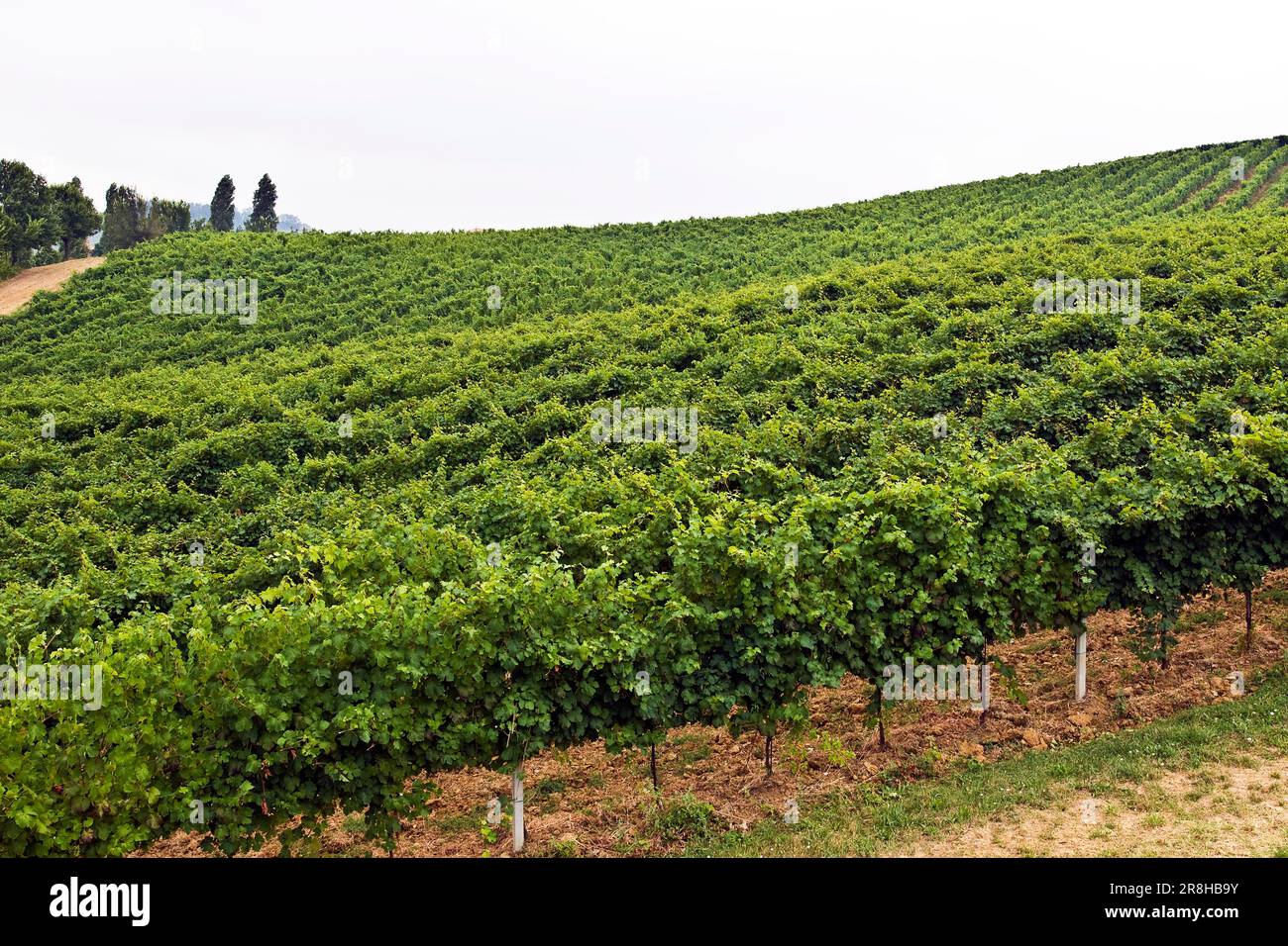 Tuscan emilian apennines hi-res stock photography and images - Alamy