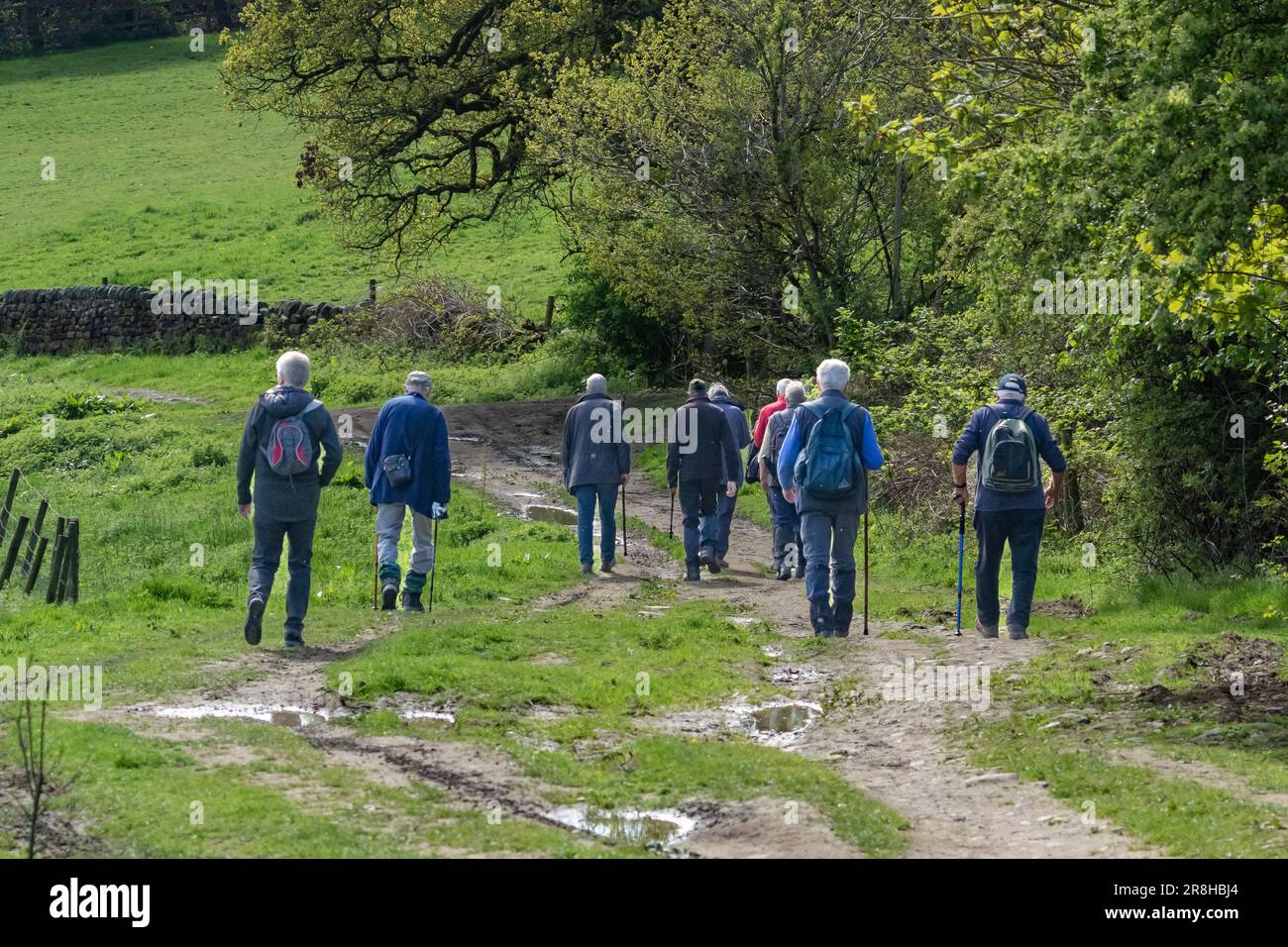A group of retired men out walking in the countryside. (Retired men at ...