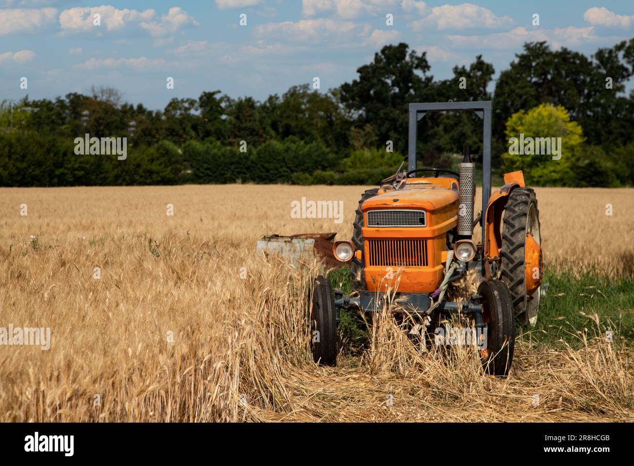 Agricultural tractor in the wheat field Stock Photo - Alamy
