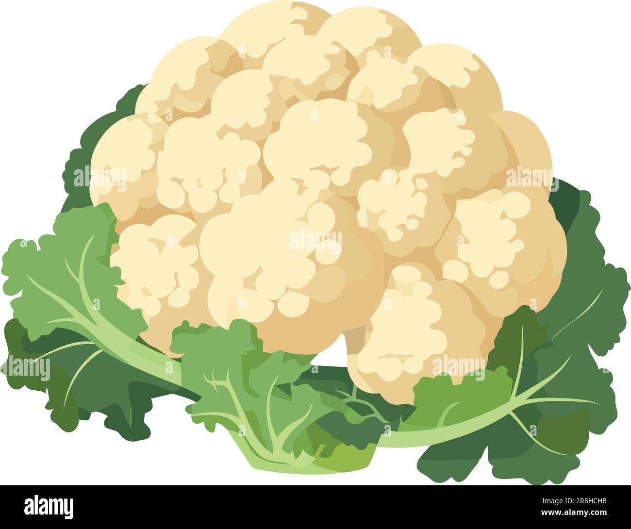Healthy eating vegetable cauliflower Stock Vector Image & Art - Alamy