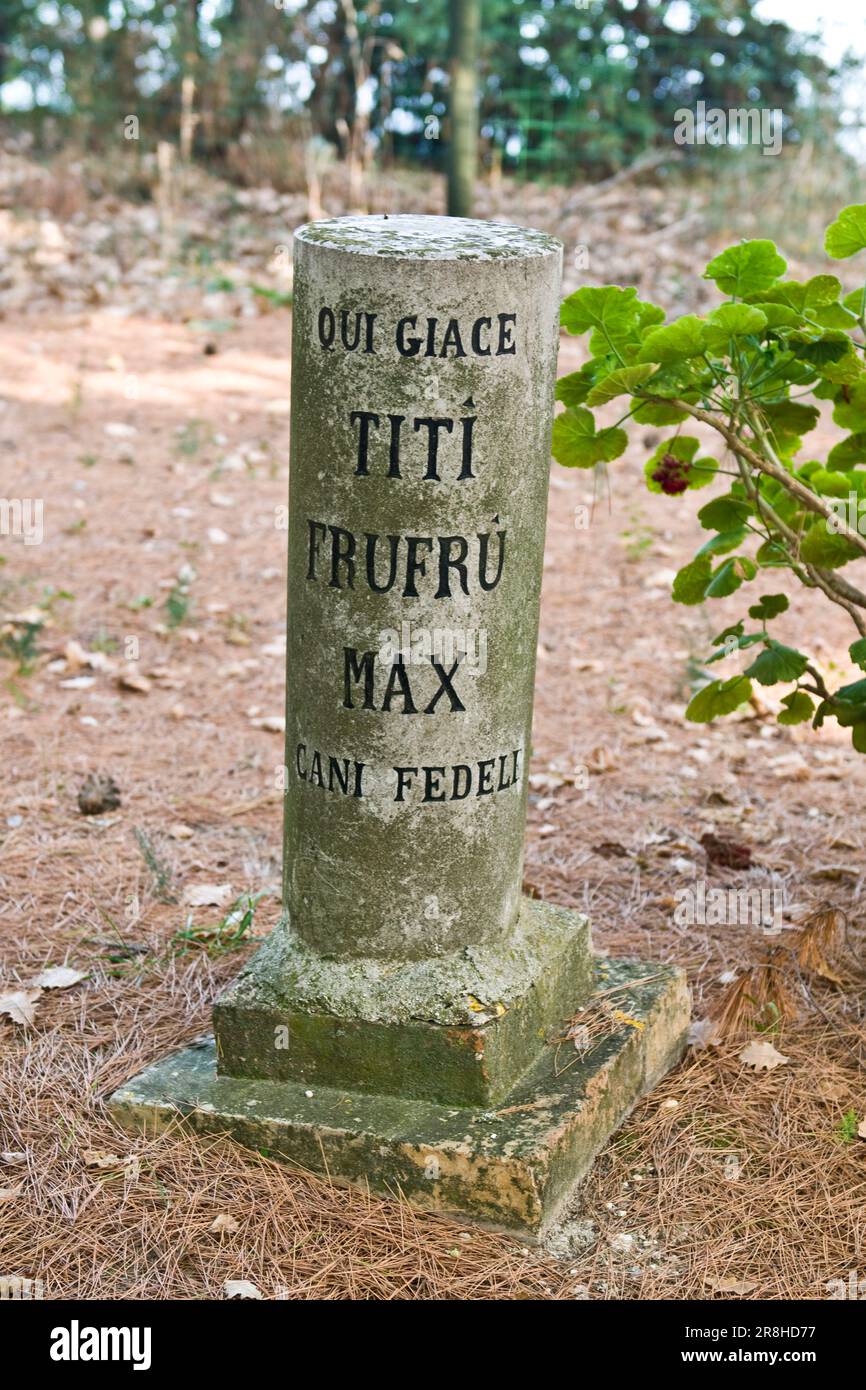 Dog cemeteries hi-res stock photography and images - Alamy