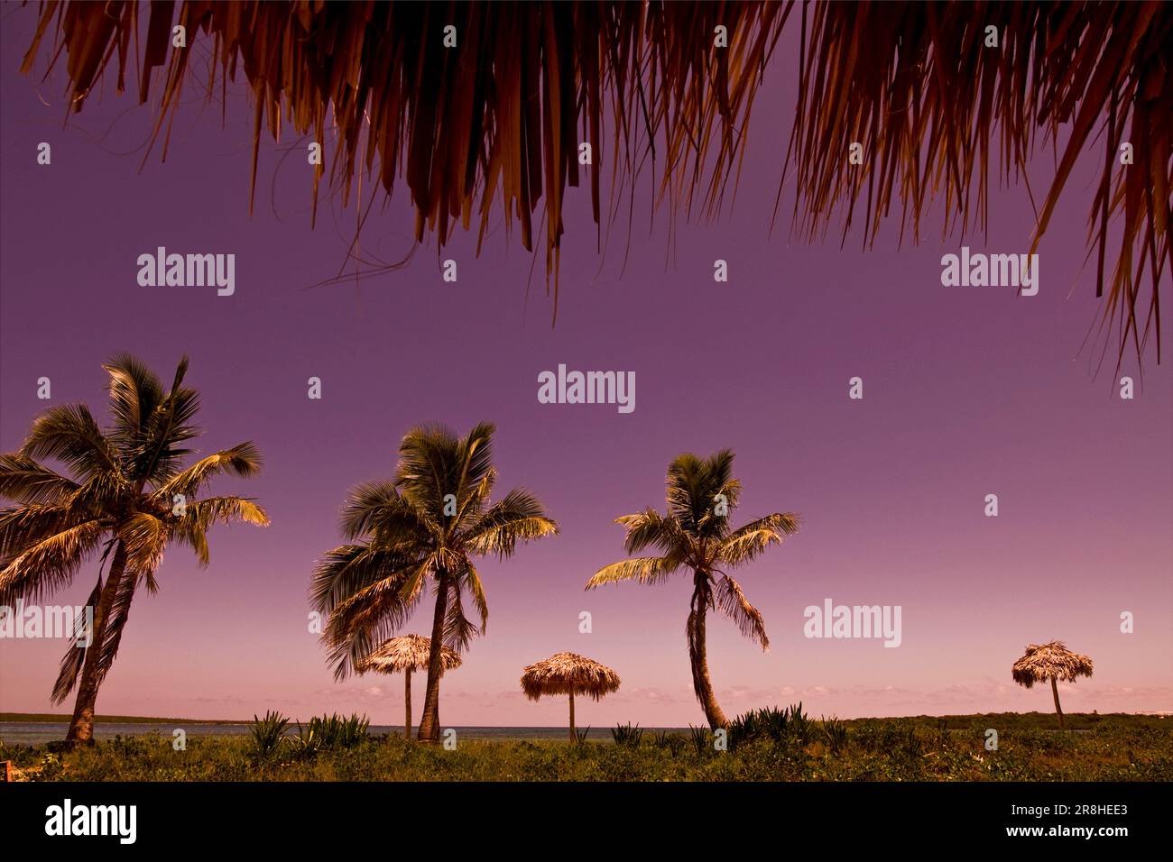 Cuba. Cayeras Del Norte. Beach Stock Photo - Alamy