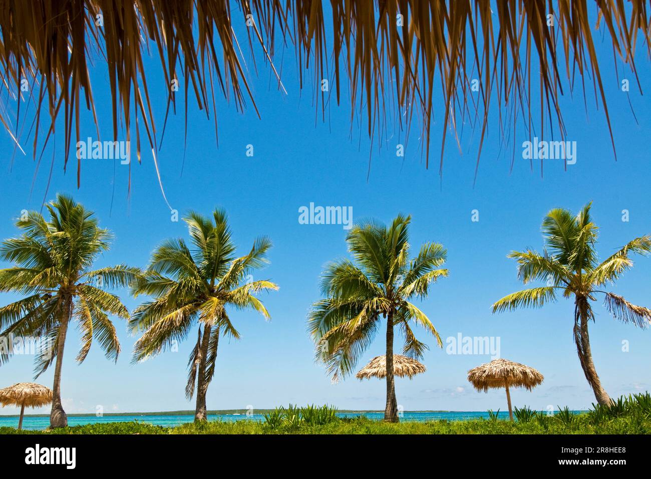 Cuba. Cayeras Del Norte. Beach Stock Photo - Alamy