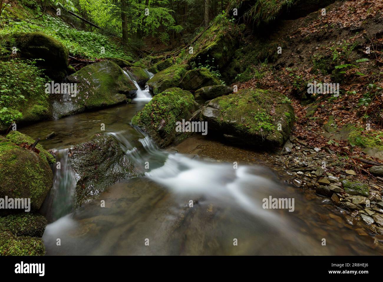 A waterfall in the midst of a magical wild nature, rocks covered with ...