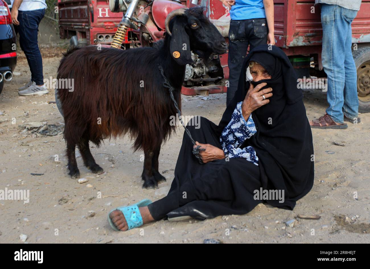 Khan Yunis, Gaza. 21st June, 2023. A Palestinian woman sits with a goat ...