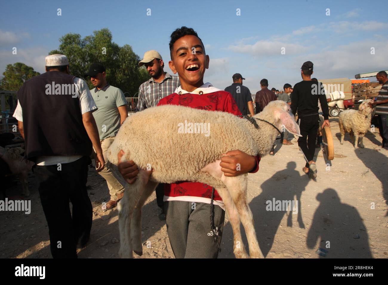 A boy holds a ram at a livestock market, as Palestinians prepare for ...