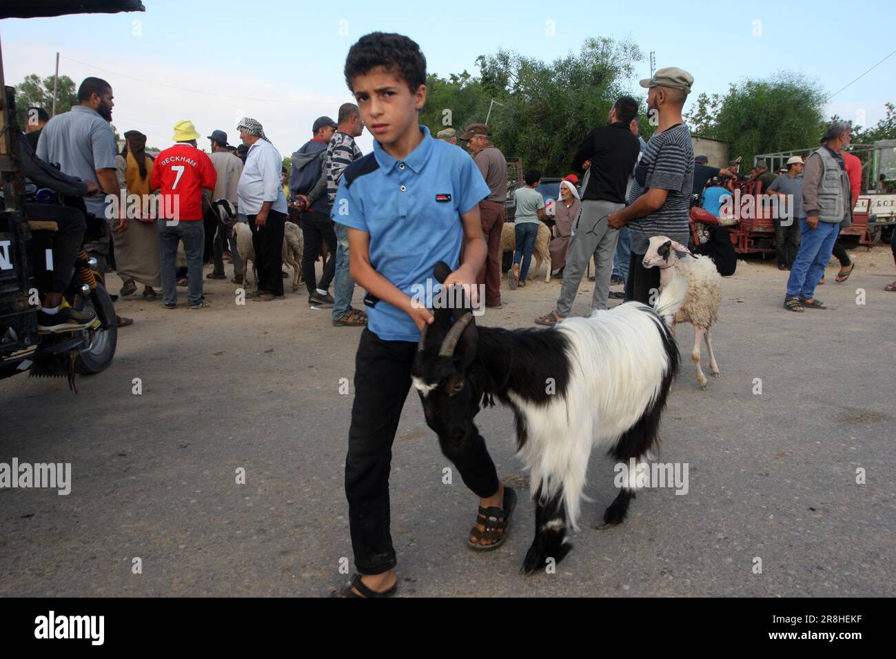 Khan Yunis, Gaza. 21st June, 2023. A Palestinian boy leads a goat at a ...