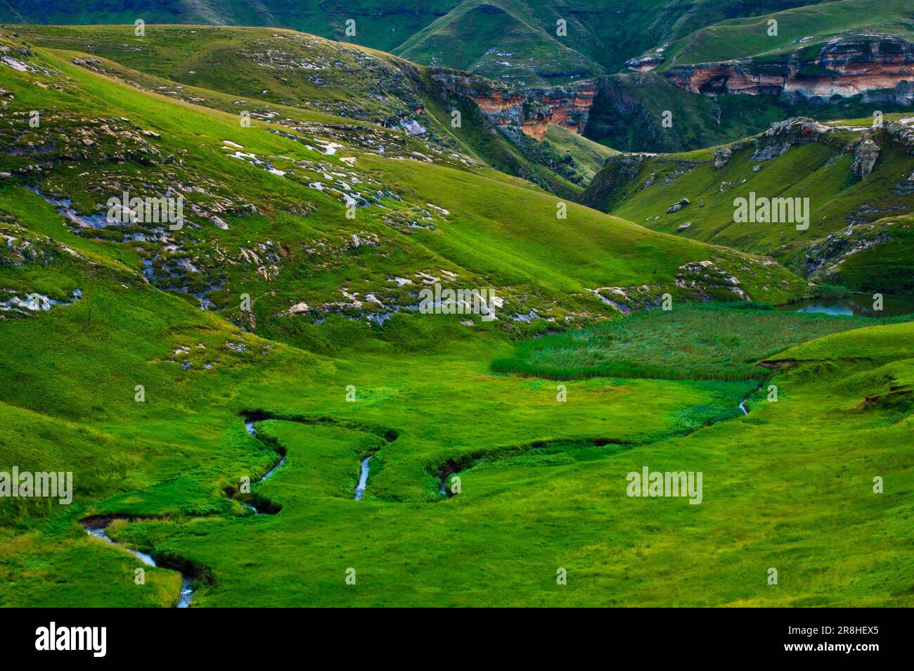 Buffelspruit hi-res stock photography and images - Alamy