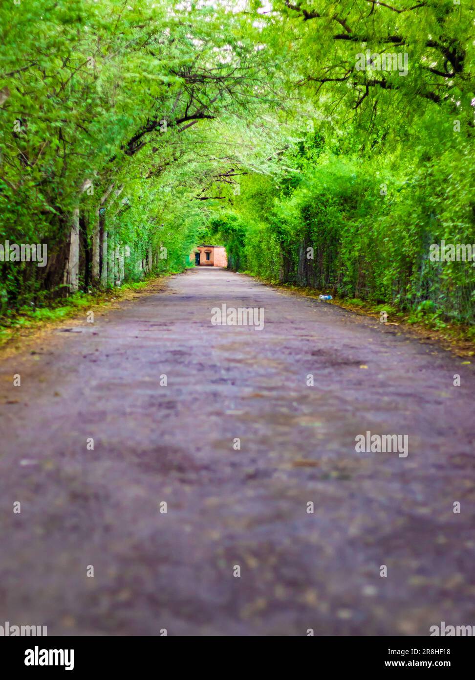 Tarmac pathway hi-res stock photography and images - Alamy