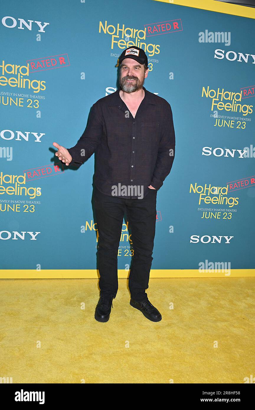 David Harbour attends The US Premiere of "No Hard Feelings" at AMC ...