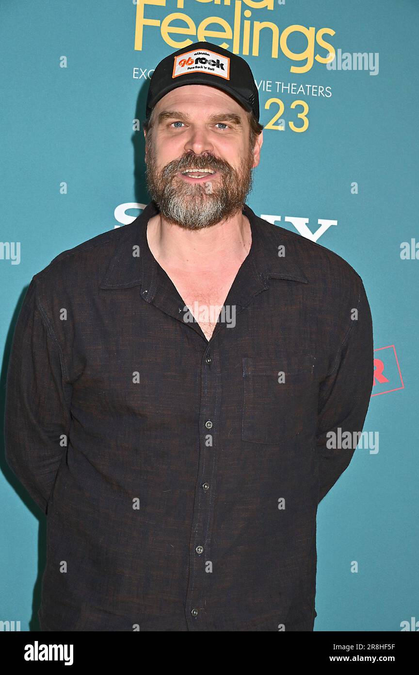 David Harbour attends The US Premiere of "No Hard Feelings" at AMC ...