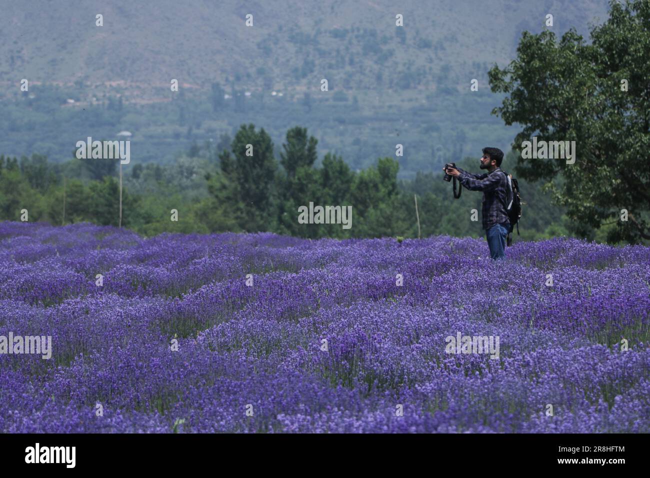June 21, 2023, Bijbehara, Jammu and Kashmir, India: A photograher is ...