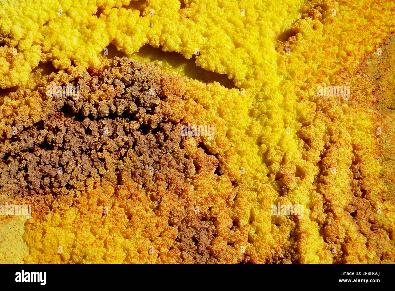 Sulfuric Acid Pond Dallol Is A Volcanic. Danakil Depression. Ethiopia ...