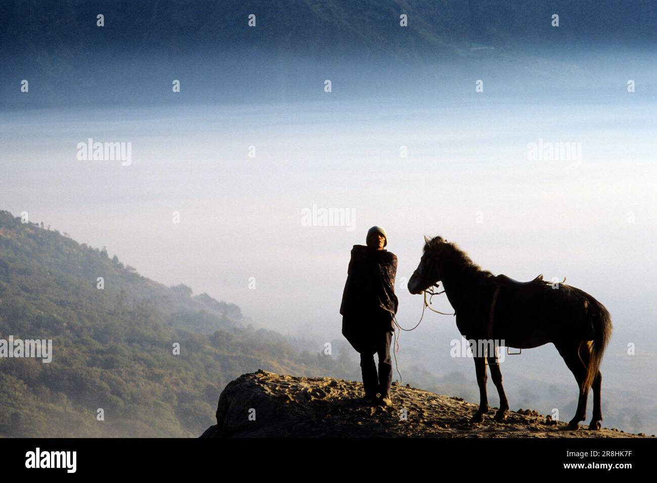 Horses in volcano hi-res stock photography and images - Alamy