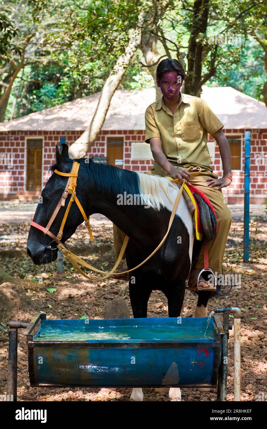 Matheran horse hi-res stock photography and images - Alamy