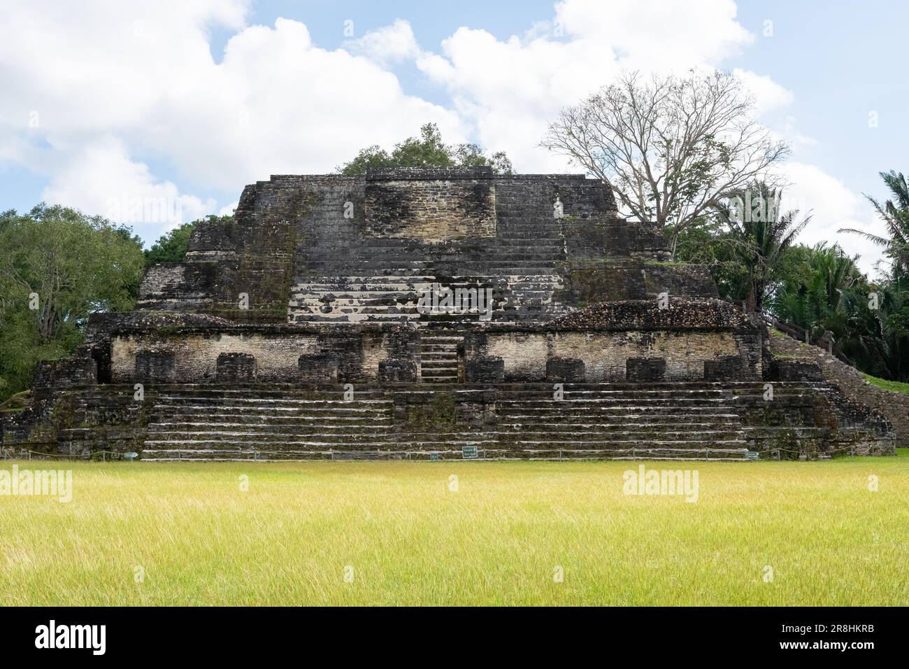 An exterior view of a grandiose building surrounded by lush greenery in ...