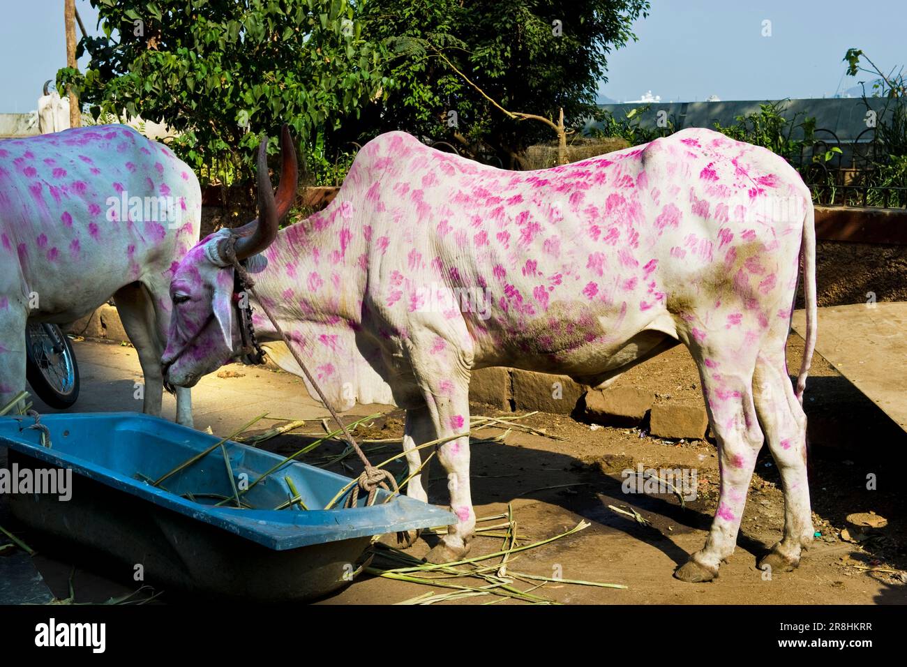 Poor Area near Colaba. Mumbai. India Stock Photo - Alamy