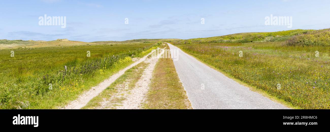 Landscape nature reserve Boschplaat at Wadden island Terschelling in ...