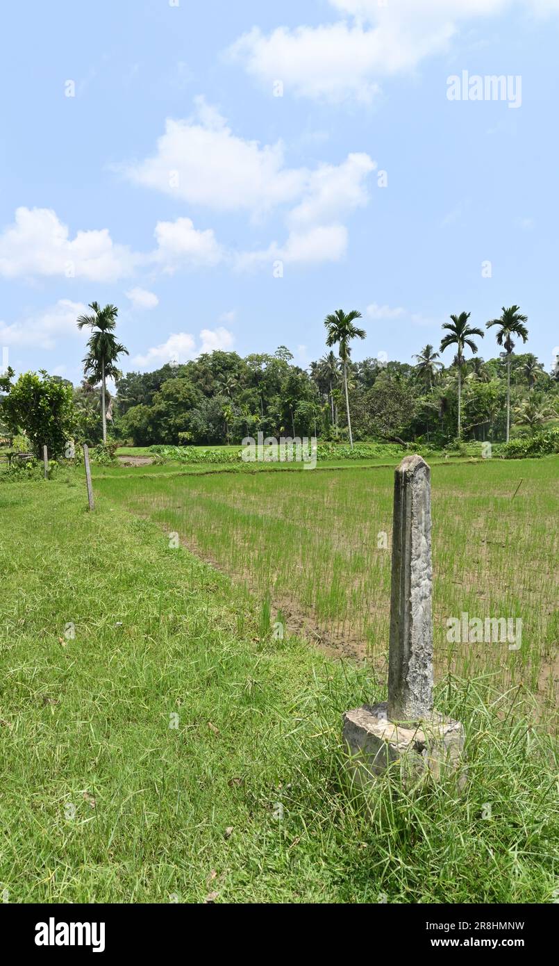 Vertical view of a grounded rectangular cement pole and surrounding ...