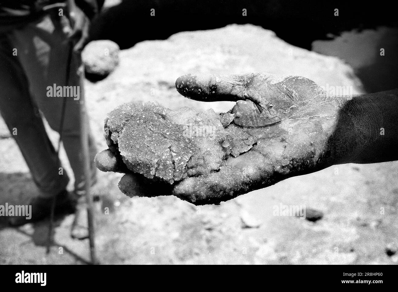 Salt Extraction in the El Sod Crater. Ethiopia Stock Photo - Alamy